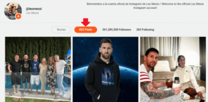 Picuki Instagram - Everything you Need to Know | New Scitech