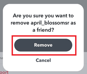 How to Unadd Someone on Snapchat Quickly Without Notifying Them | New ...